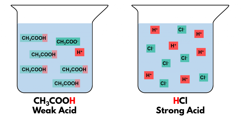Diagram Of Strong Acid Dissolved In Water Hydrogen Ions Biol