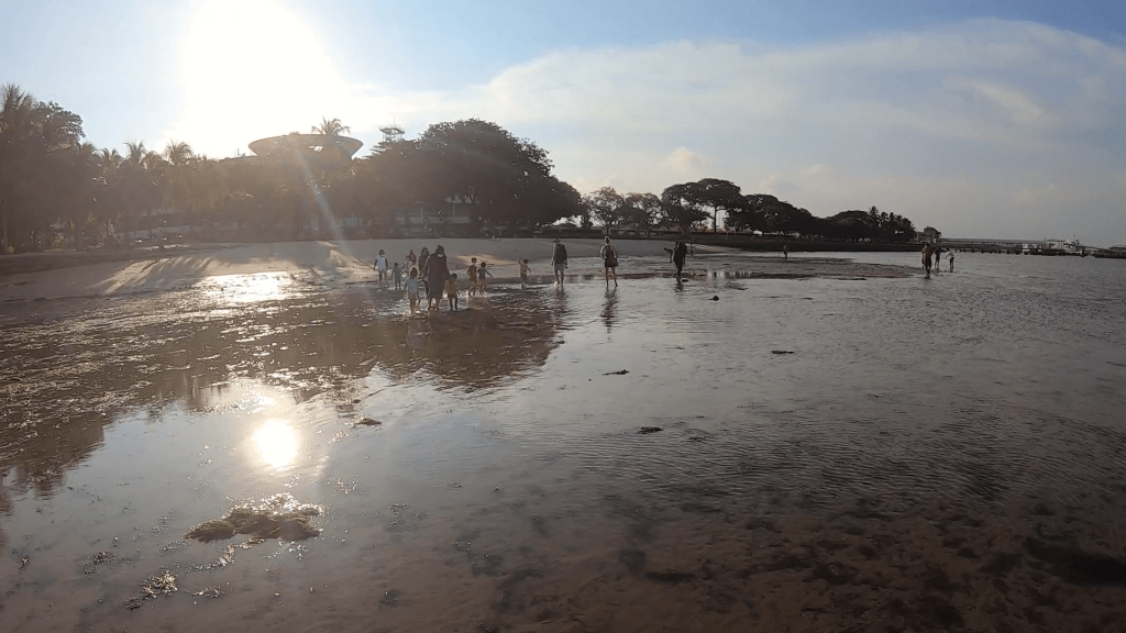 Intertidal walk at Changi Beach | O Level Chemistry